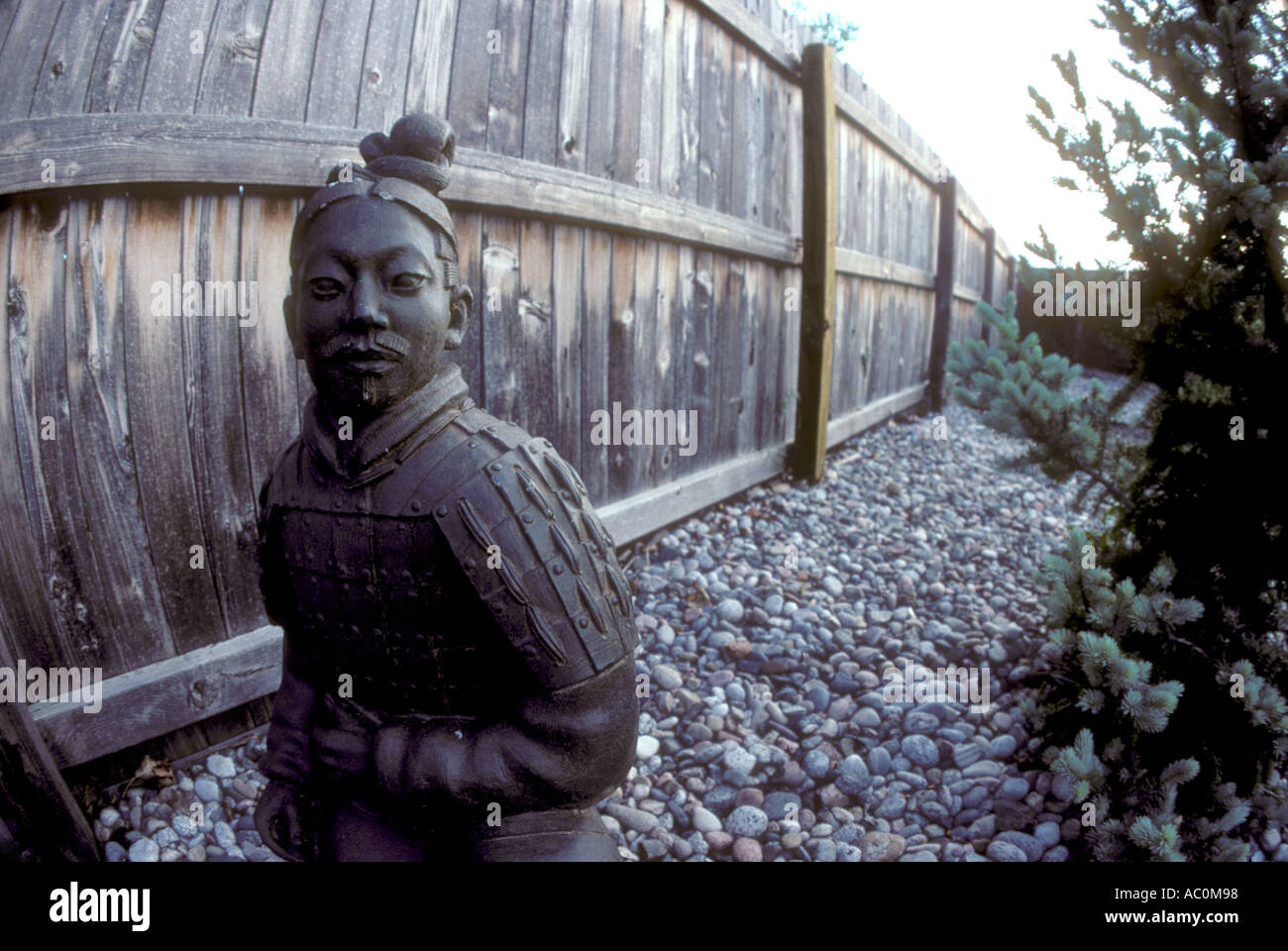 Chinese warrior soldier in a backyard garden Stock Photo - Alamy