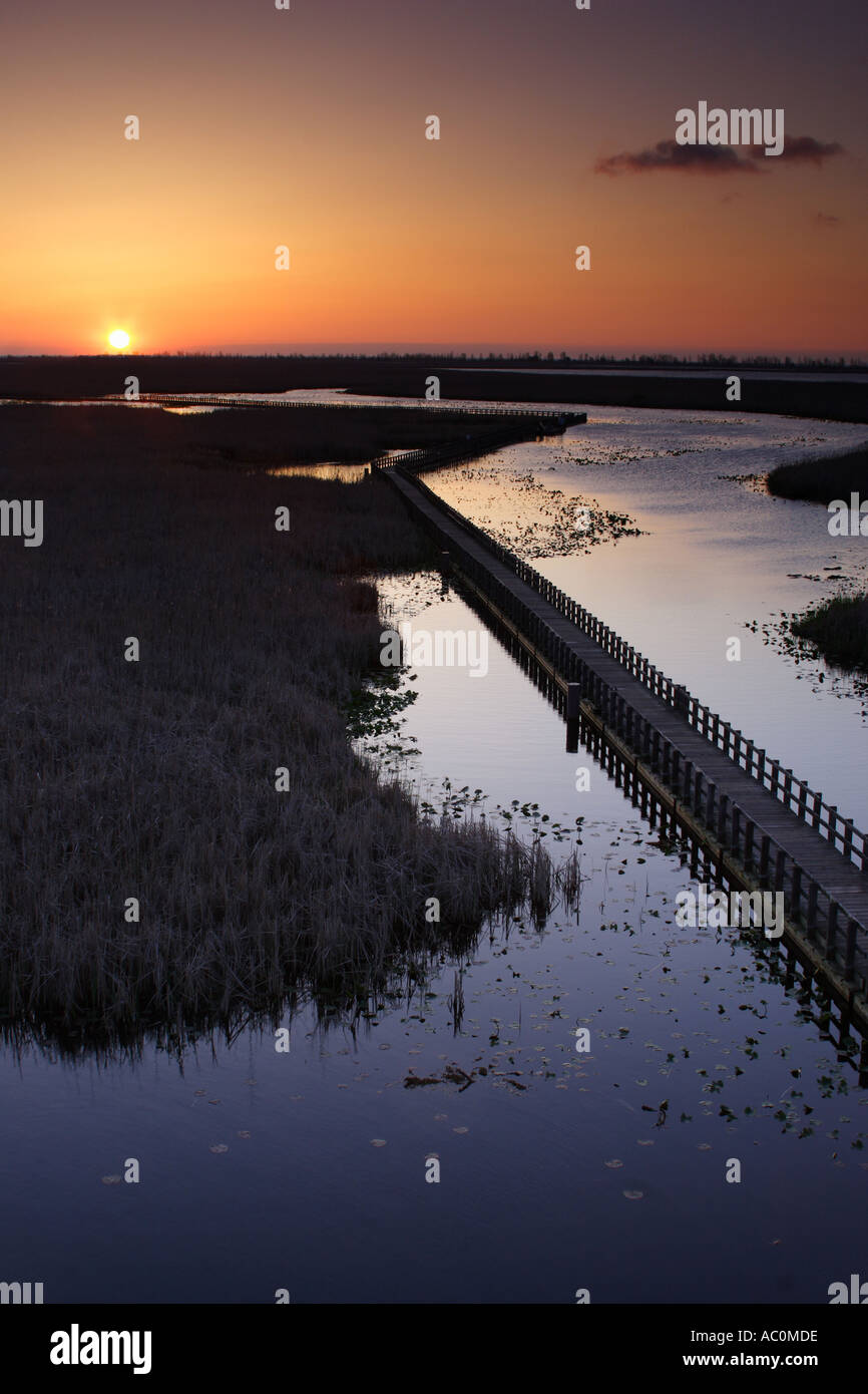 Point Pelee National Park at Sunrise Stock Photo - Alamy