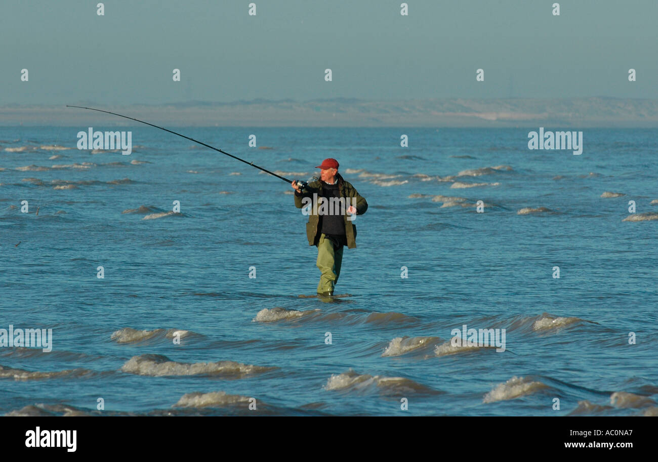 Rye bay fish hi-res stock photography and images - Alamy