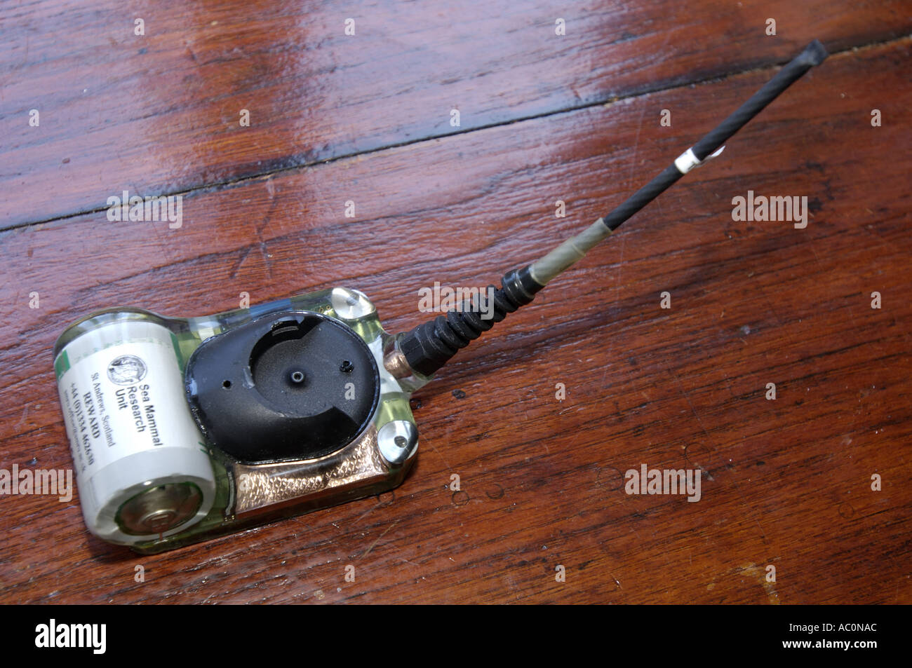shark acoustic transmitter Stock Photo - Alamy