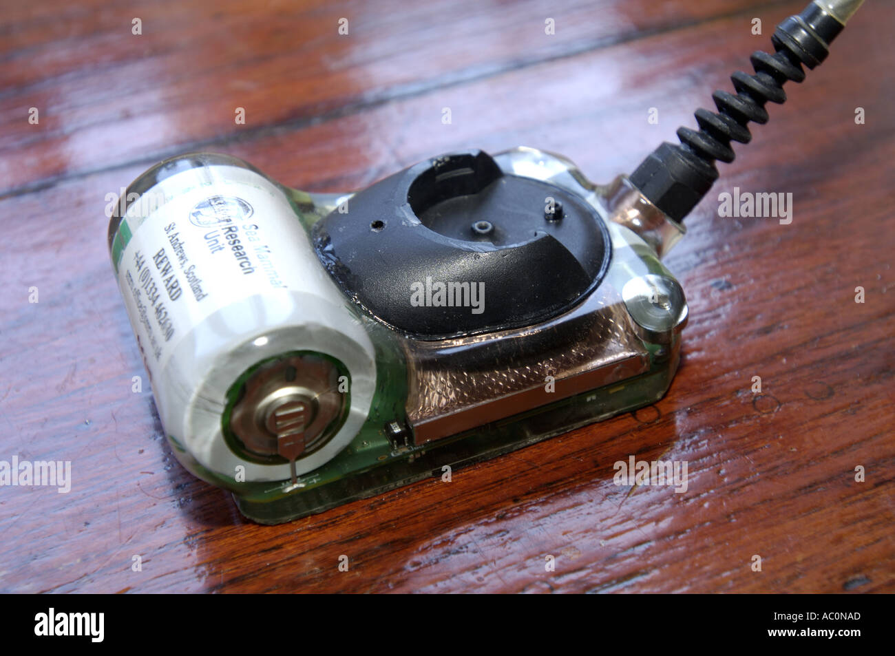 shark acoustic transmitter Stock Photo - Alamy