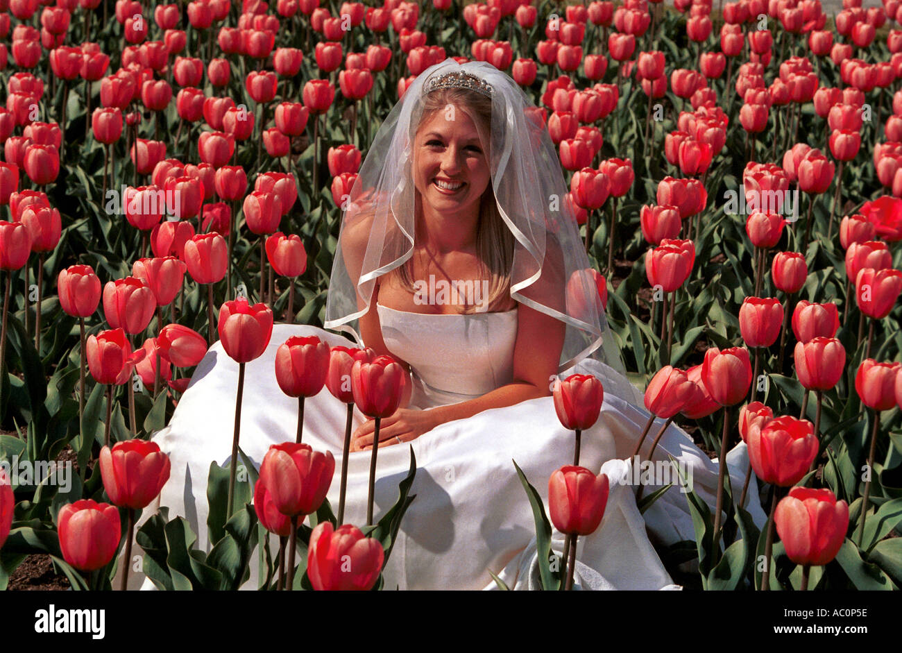 Bride sitting down wedding ceremony hi-res stock photography and images ...