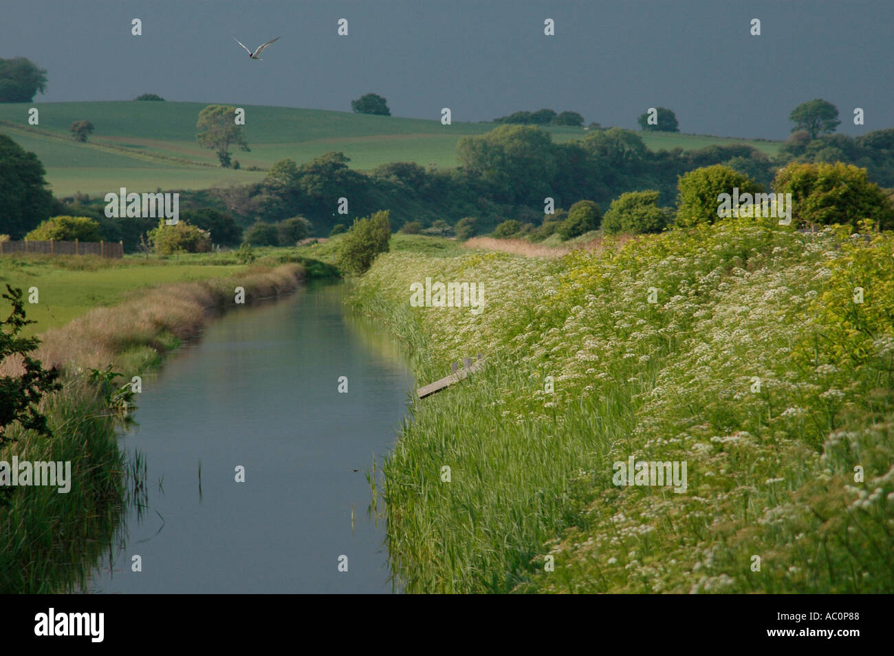 Royal Military Canal Stock Photo - Alamy