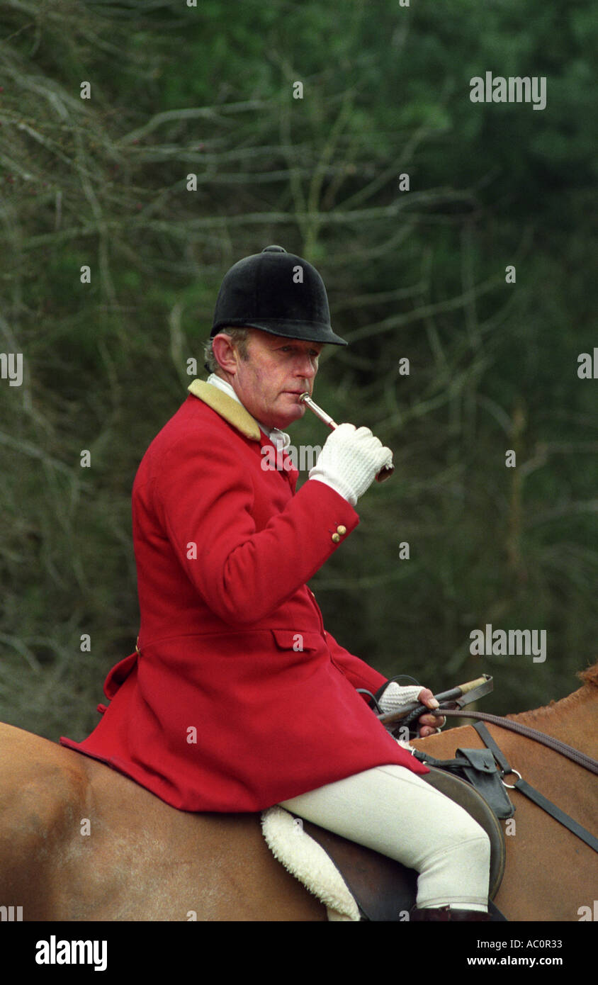 Huntsman blowing horn hi-res stock photography and images - Alamy