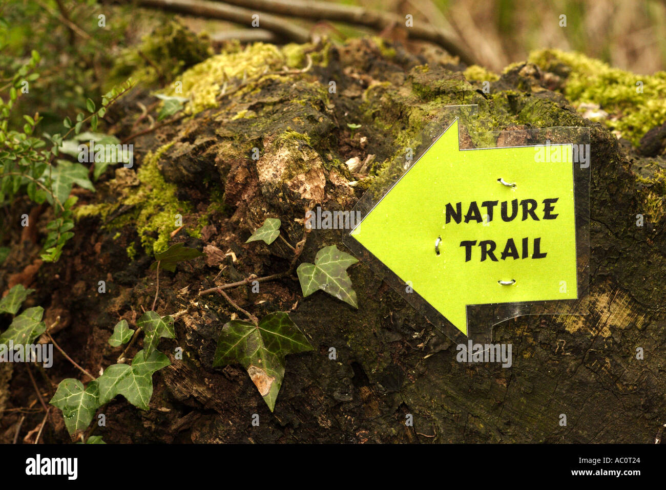 Sign for nature trail hi-res stock photography and images - Alamy