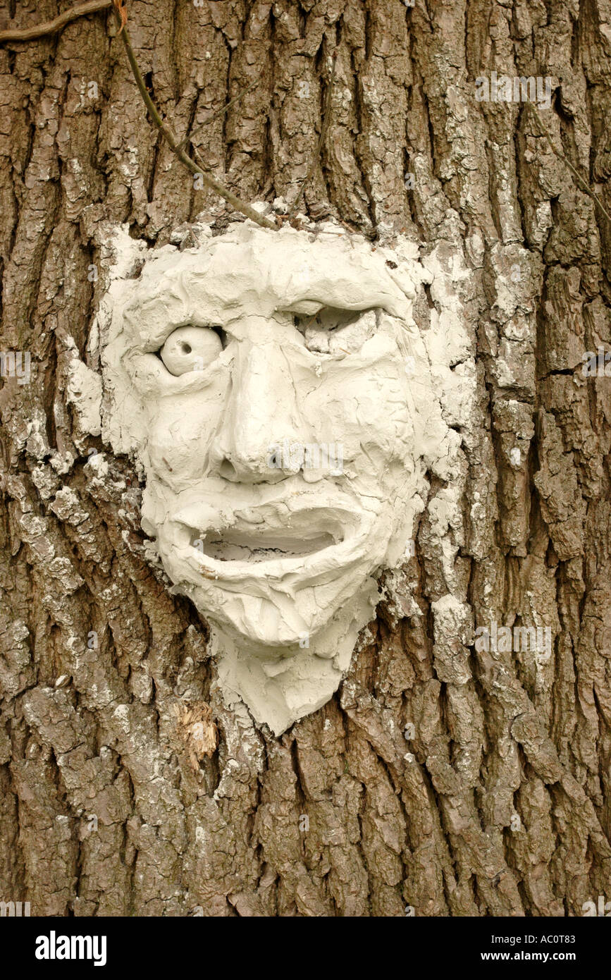 Mask made from clay and attached to trunk of ancient oak tree Stock ...