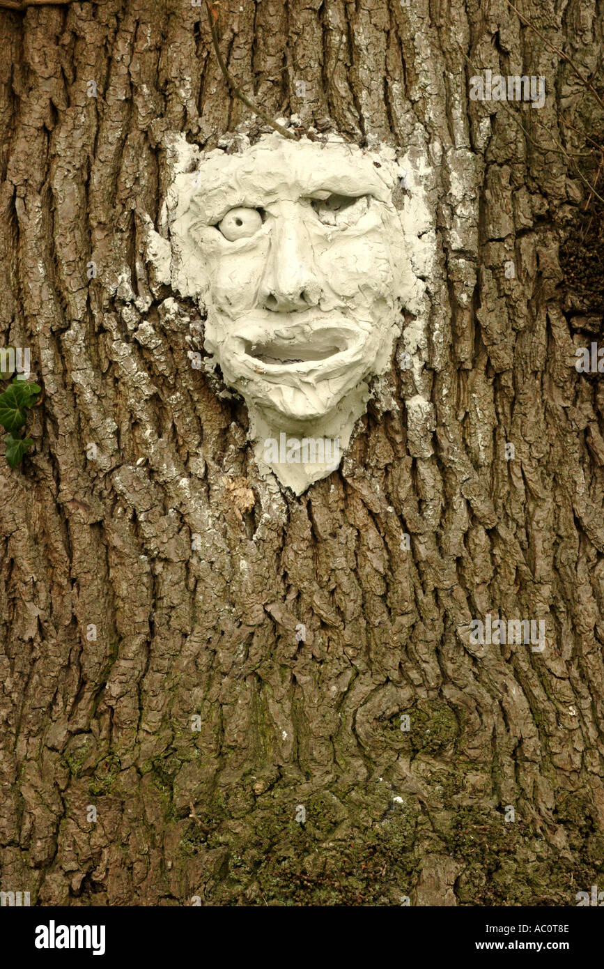 Mask made from clay and attached to trunk of ancient oak tree Stock ...
