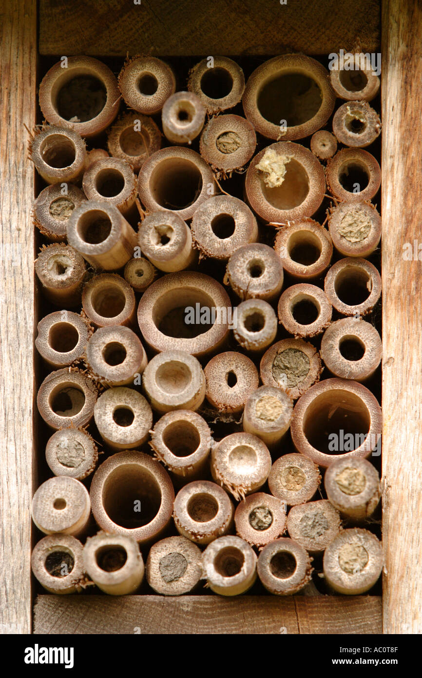 Hibernacula, a bumble bee and flying insect hibernation box Stock Photo ...
