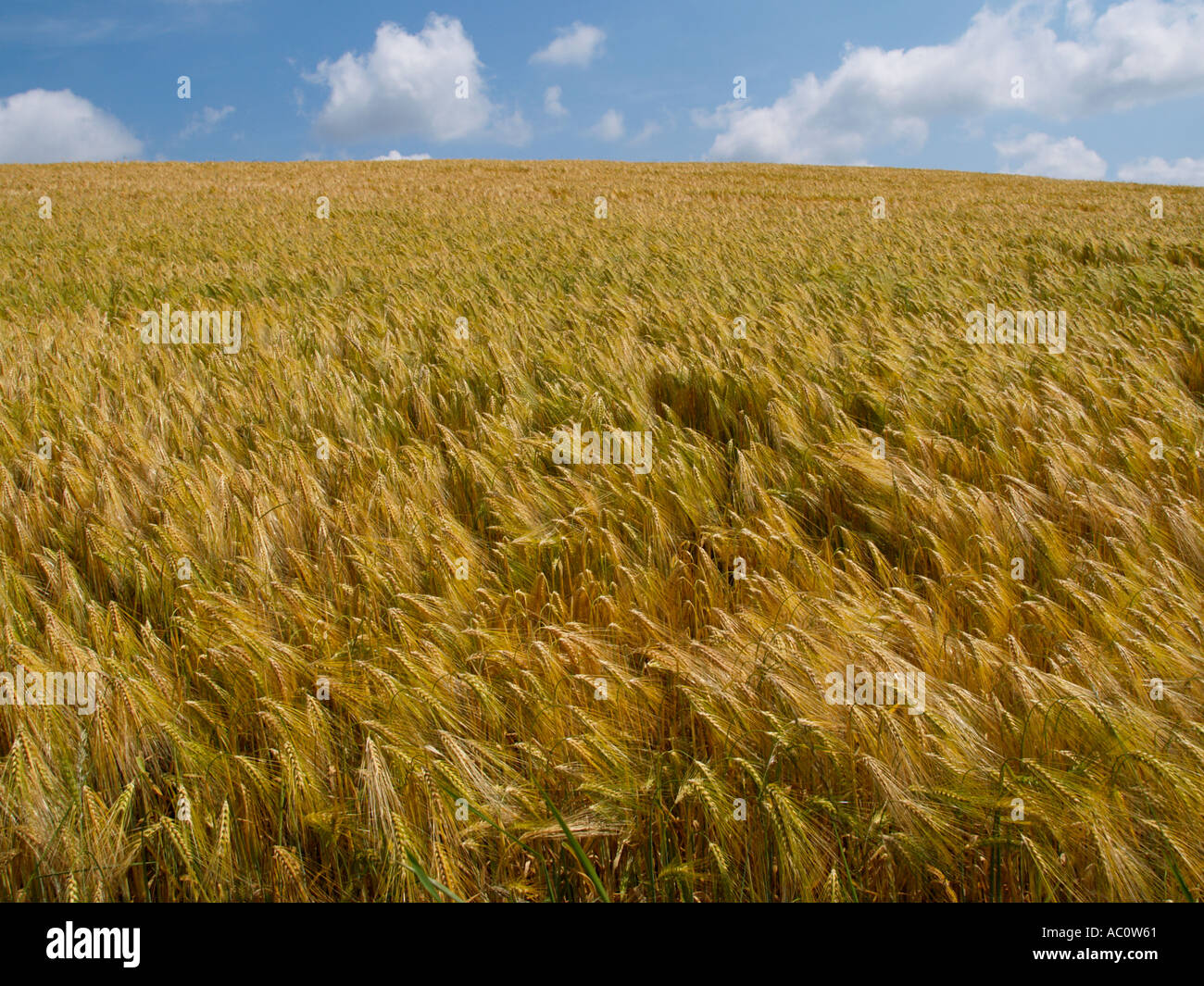 Haute marne region hi-res stock photography and images - Alamy