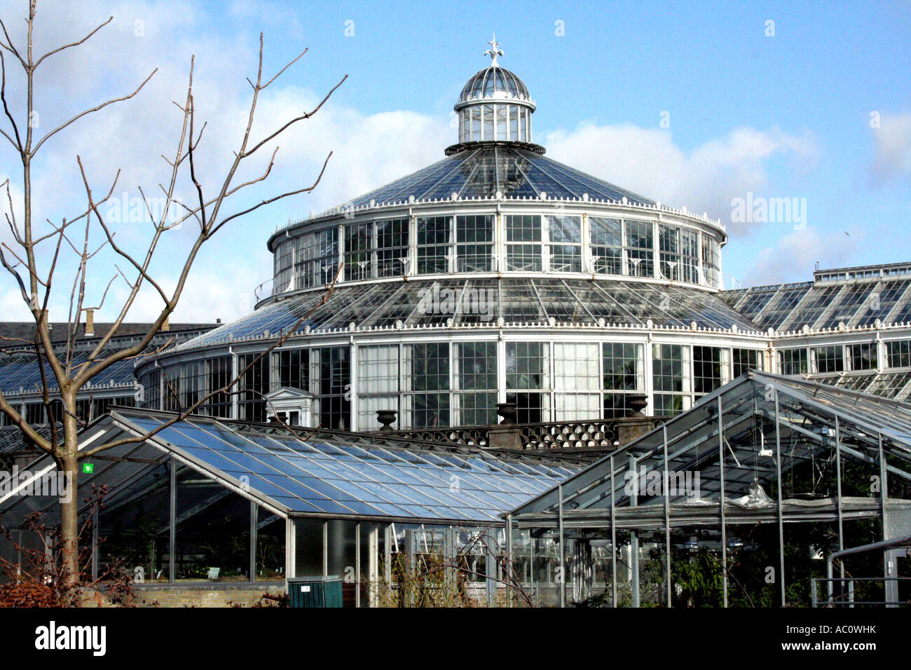 The Botanic garden; Greenhouse, Copenhagen, Denmark Stock Photo - Alamy