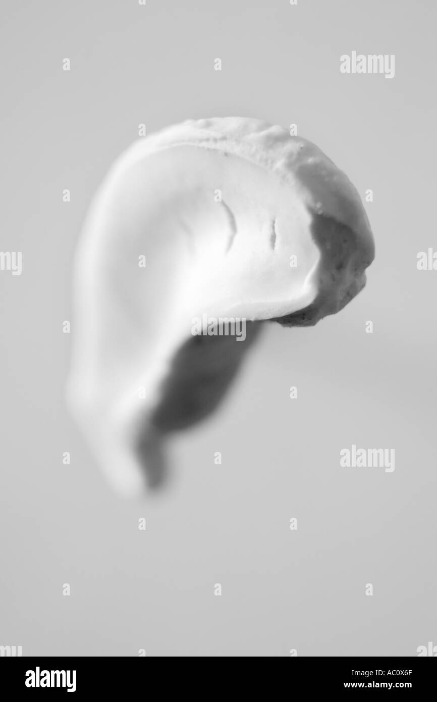 Ground nuts Black and White Stock Photos & Images - Alamy