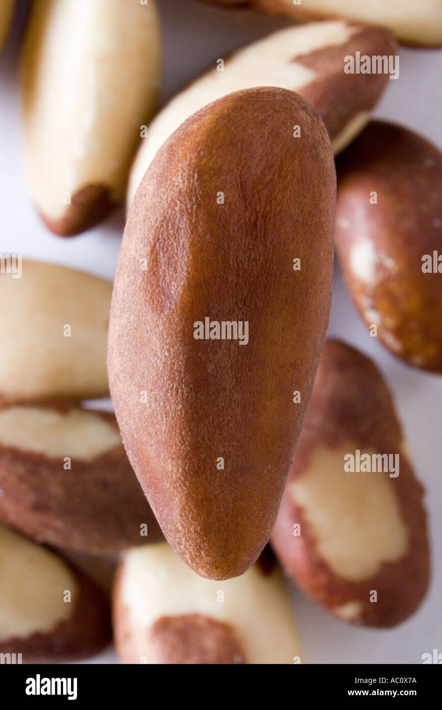 Bazil nut hi-res stock photography and images - Alamy