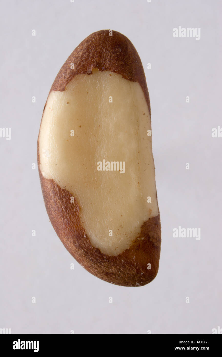 Brazil nuts colour background hi-res stock photography and images - Alamy