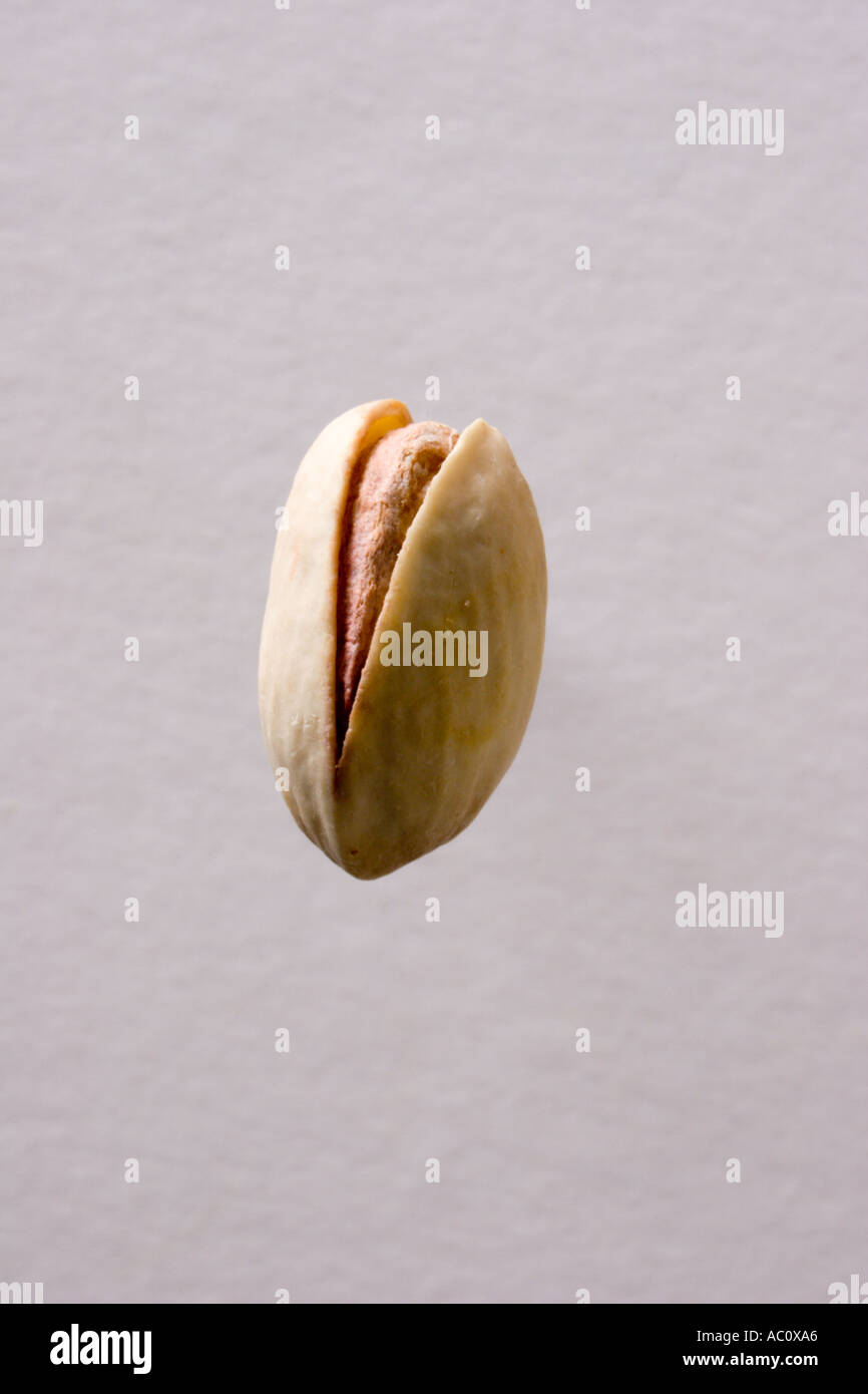 colour image off a single pistachio nut Stock Photo - Alamy