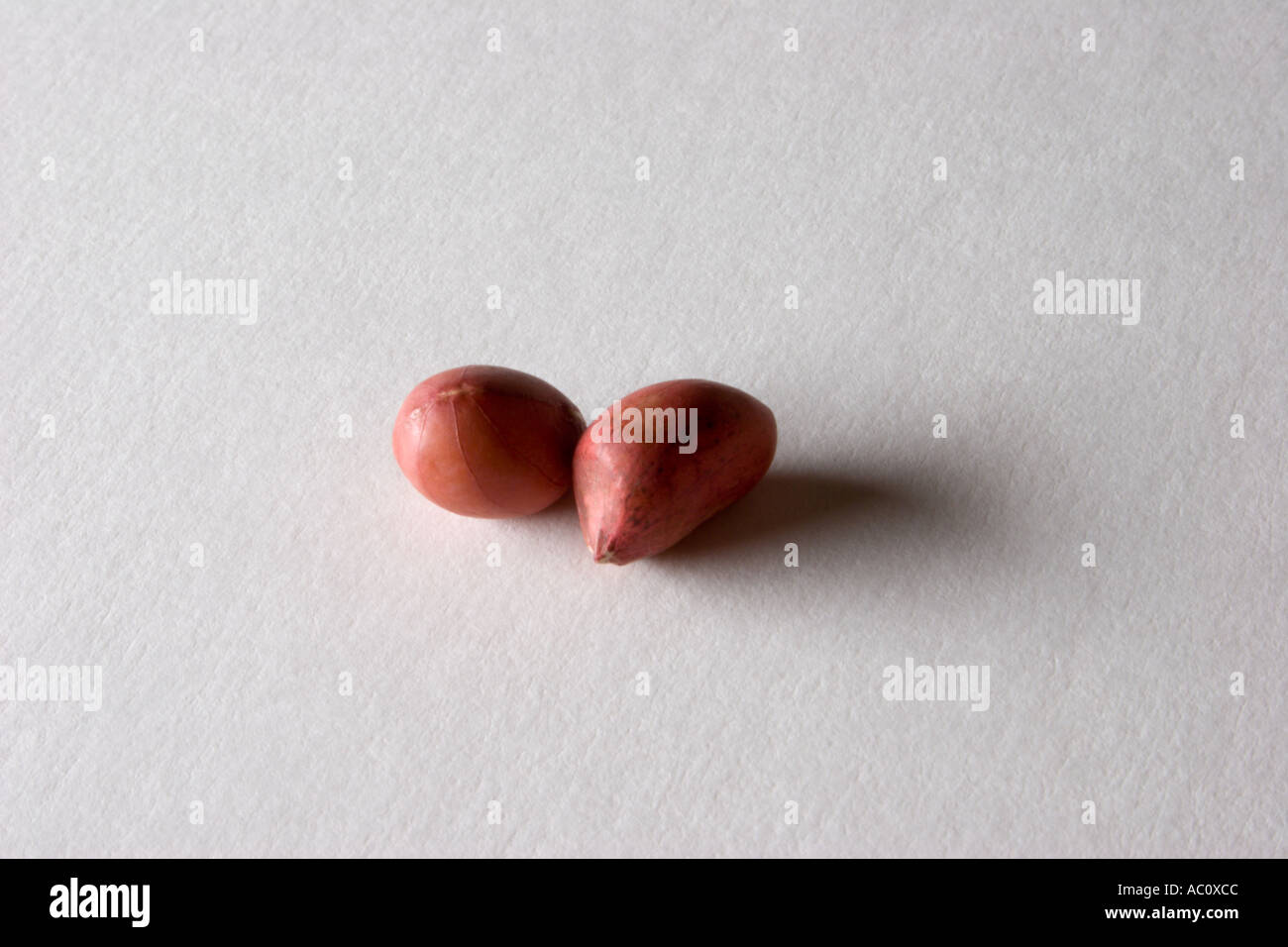 Ground touching Cut Out Stock Images & Pictures - Alamy