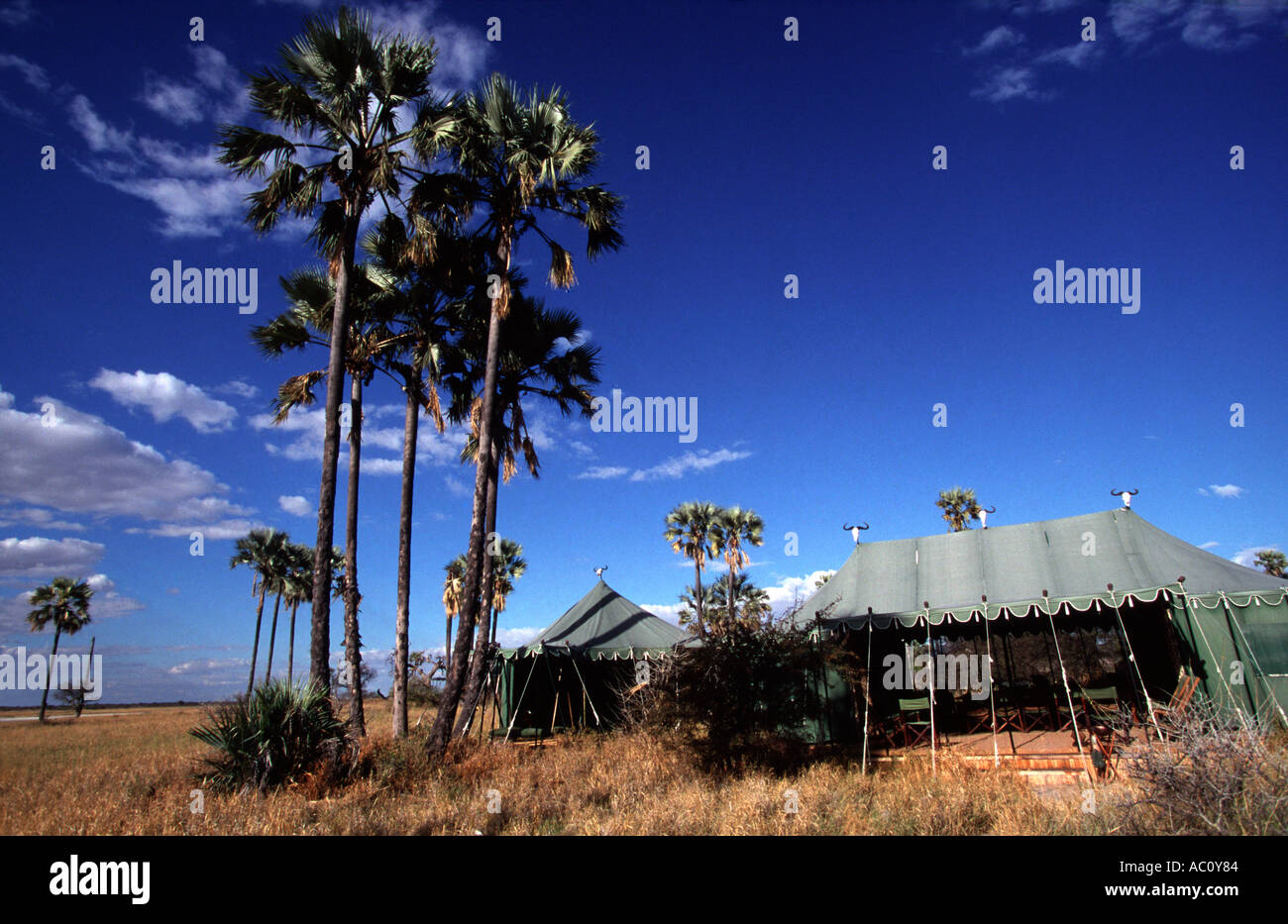 Sowa botswana hi-res stock photography and images - Alamy