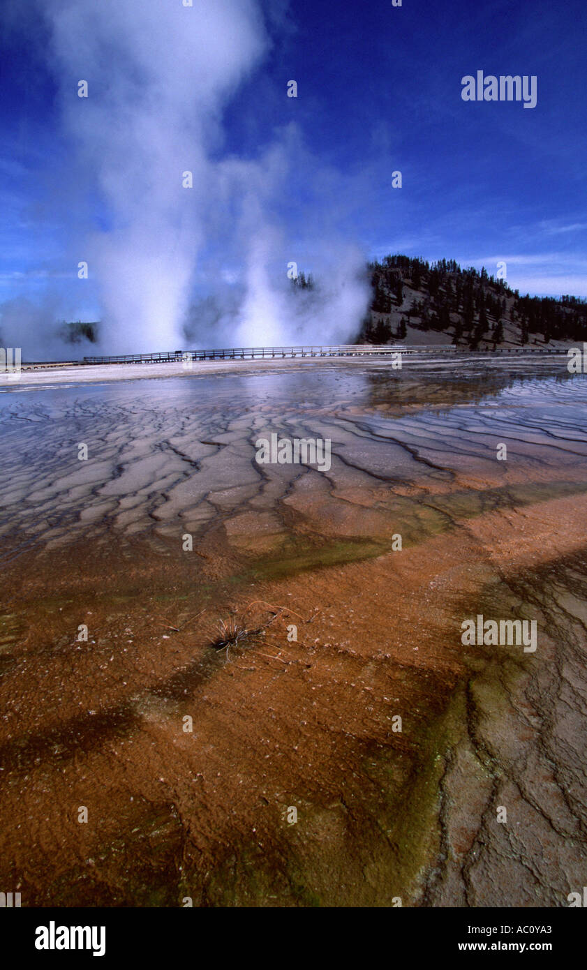 Algae and mineral deposits Fountain Paint Pots Stock Photo - Alamy