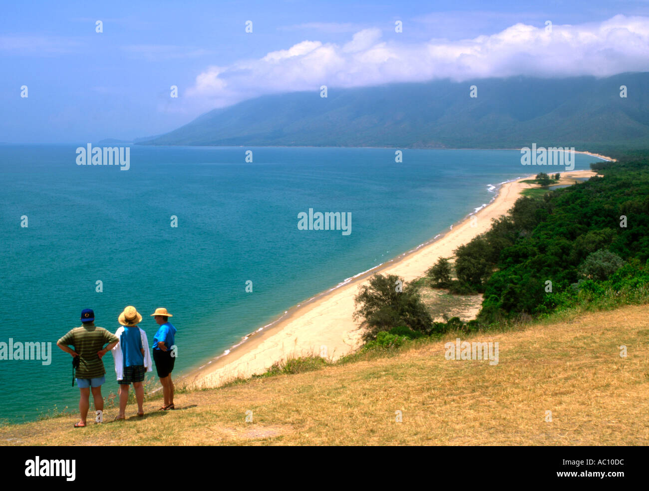 Australia Rex lookout Stock Photo - Alamy