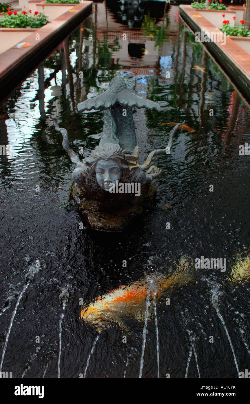 Koi Carp Swimming In A Freshwater Pool Stock Photo - Alamy