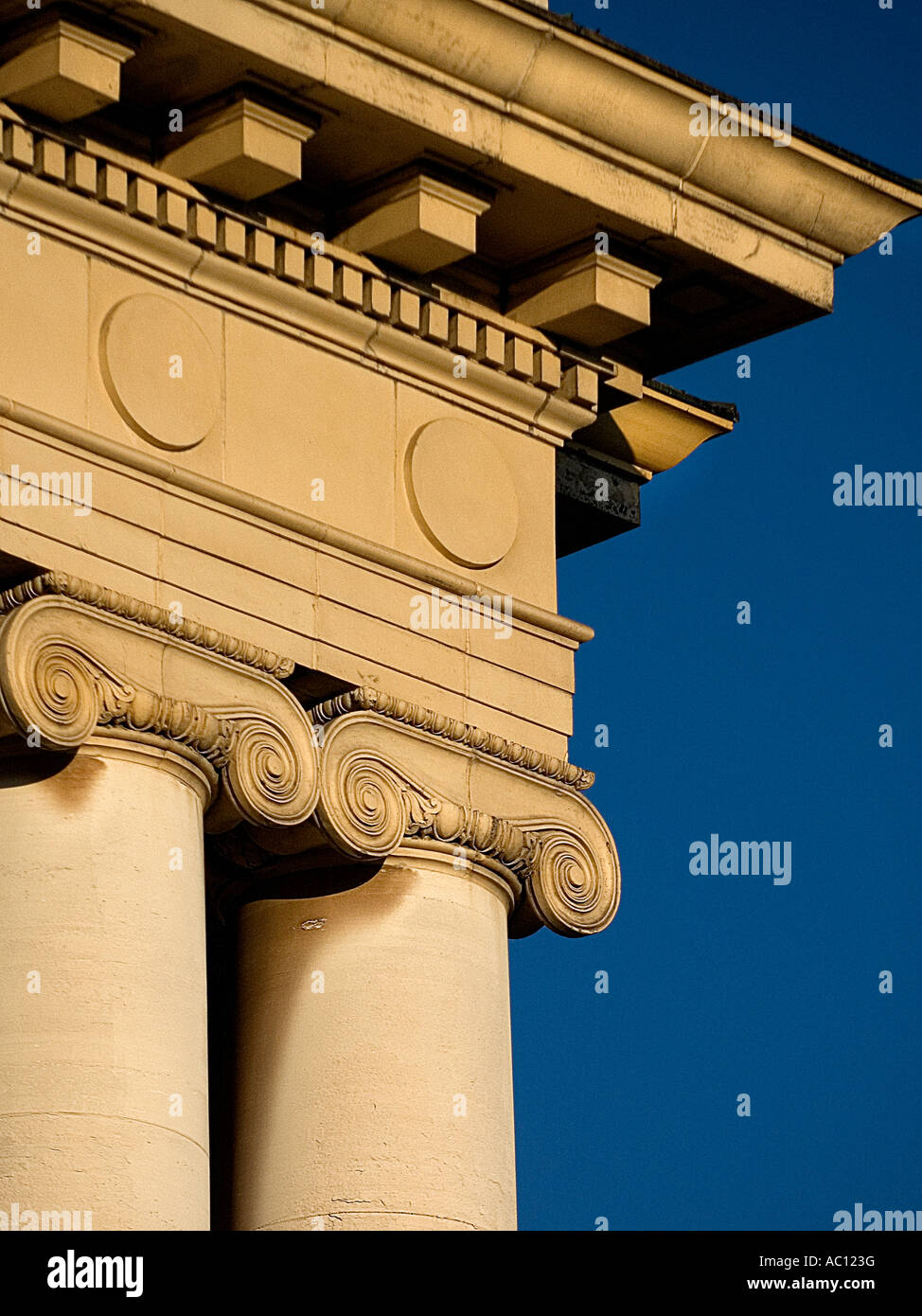 University columns Cut Out Stock Images & Pictures - Alamy