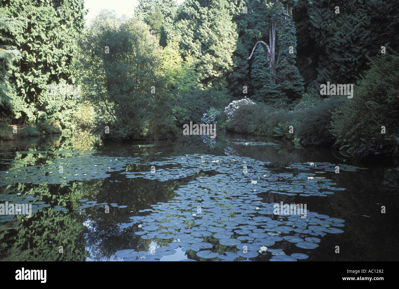 Impressionist Claude Monet s garden at Giverny Famous for the ...
