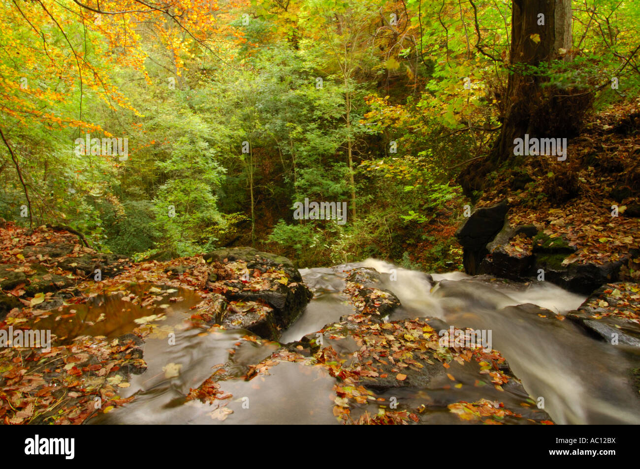 Falling Foss, Littlebeck Stock Photo - Alamy