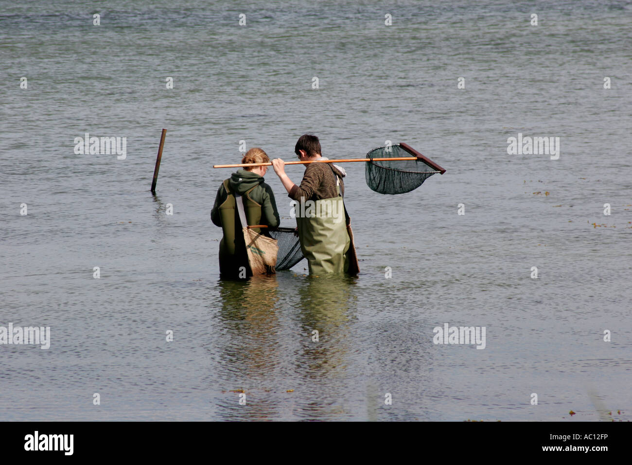 Shrimp shrimping net nets hi-res stock photography and images - Alamy