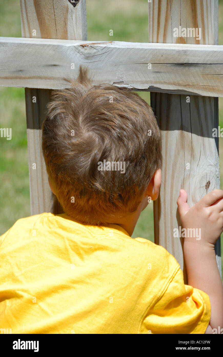 Small Child Peaking Through Picket Fence Stock Photo - Alamy