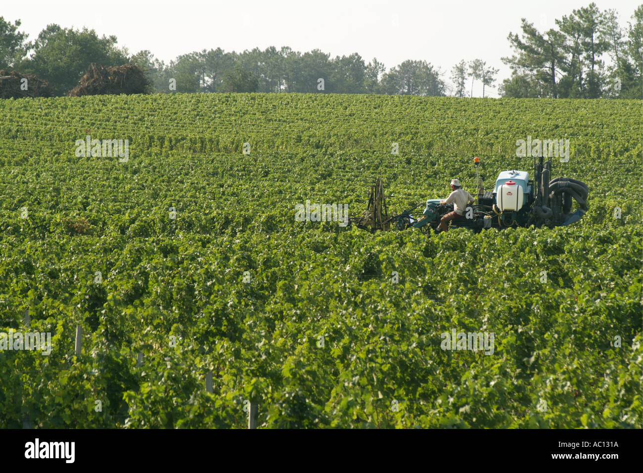 Vineyard crop spraying tractor hi-res stock photography and images - Alamy