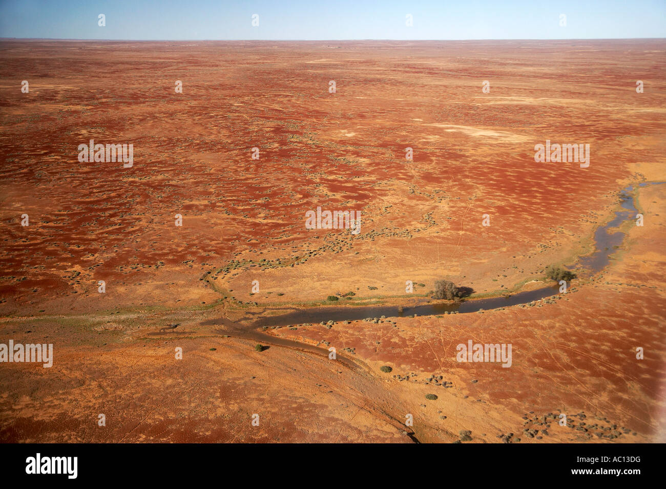 Desert Oasis near William Creek Outback South Australia Australia ...