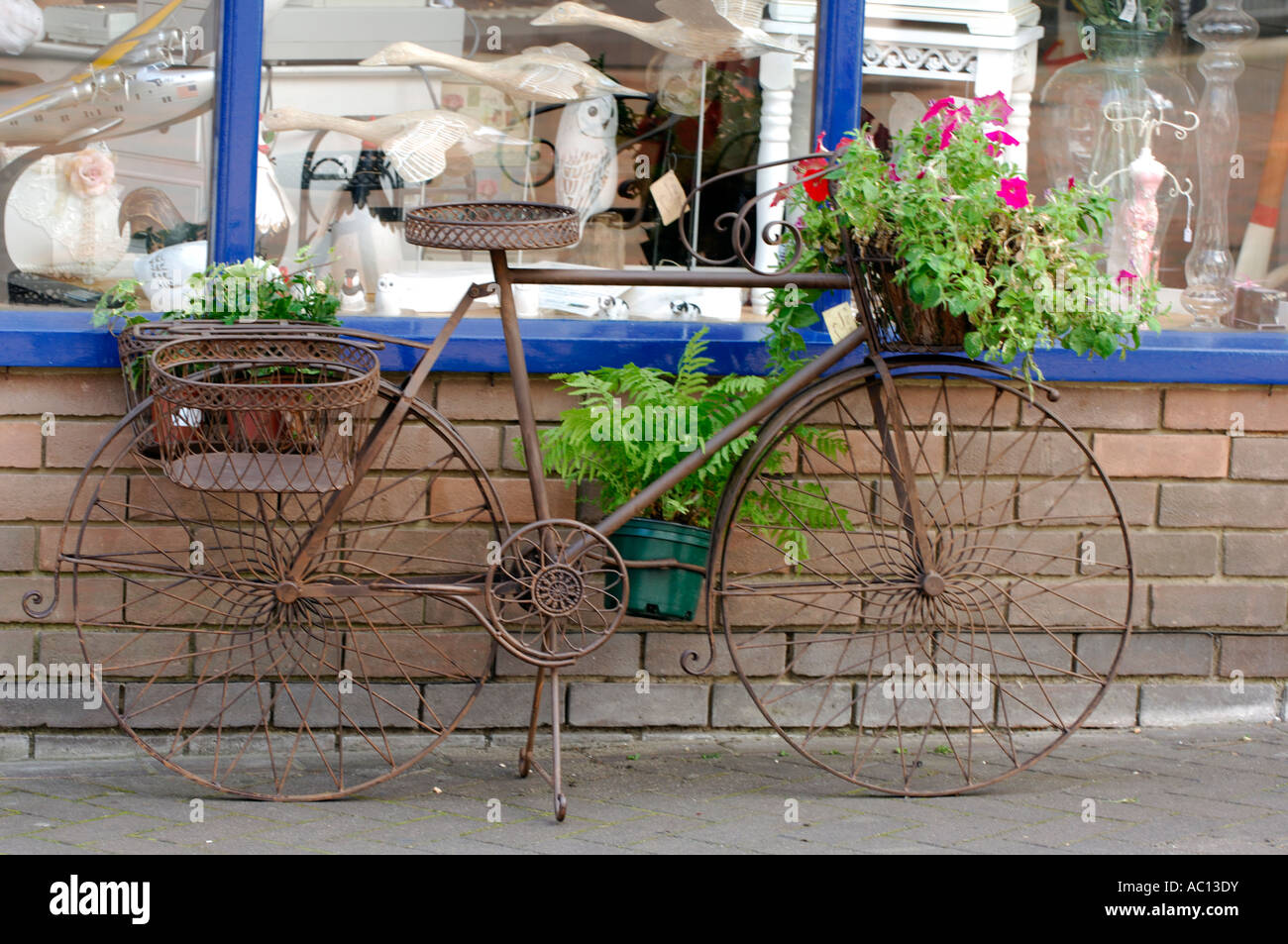 rusty old bicycle used for displaying flowers outside of designer ...