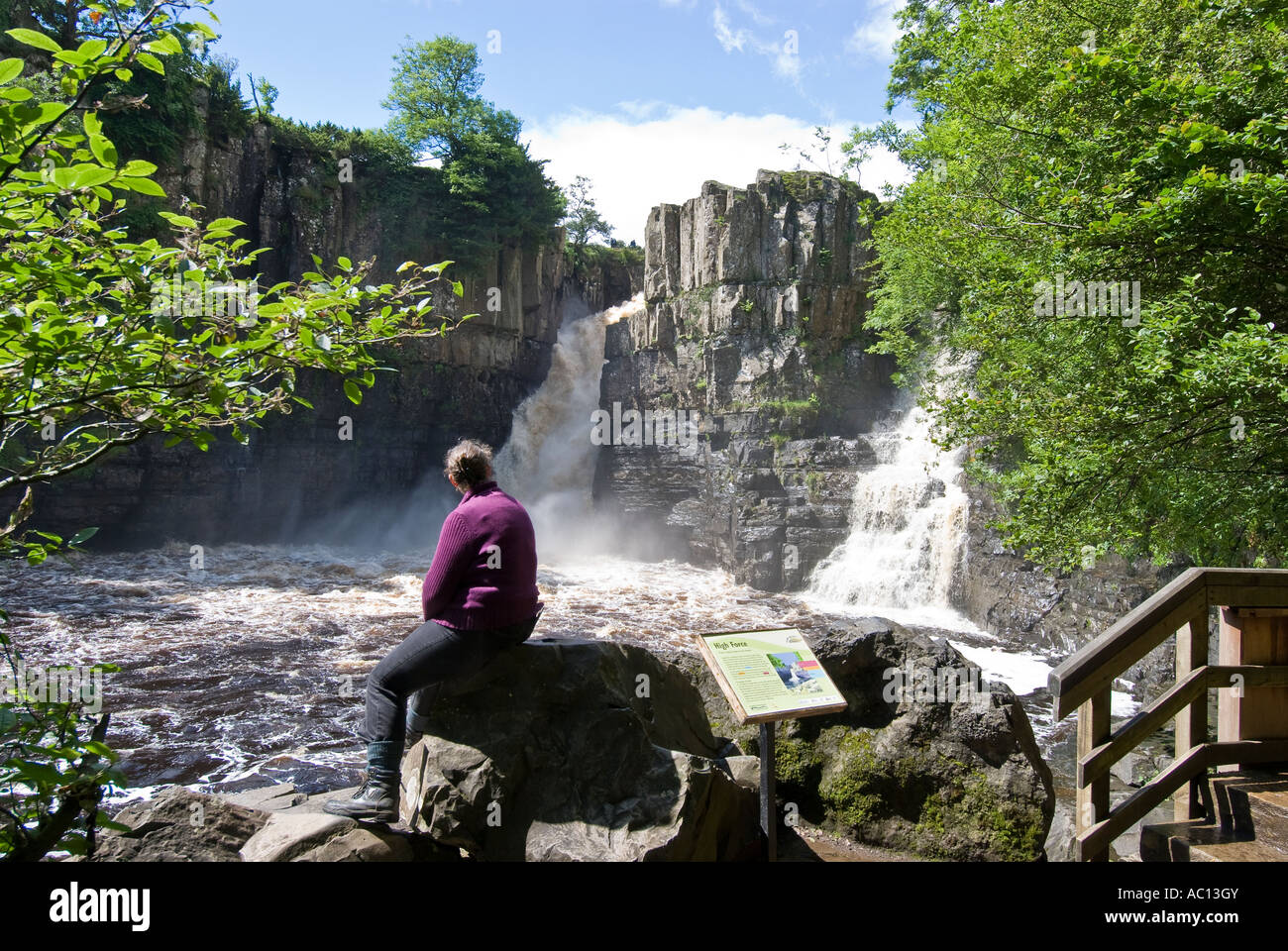Walker watching High Force waterfall on the River Tees in Teesdale UK ...