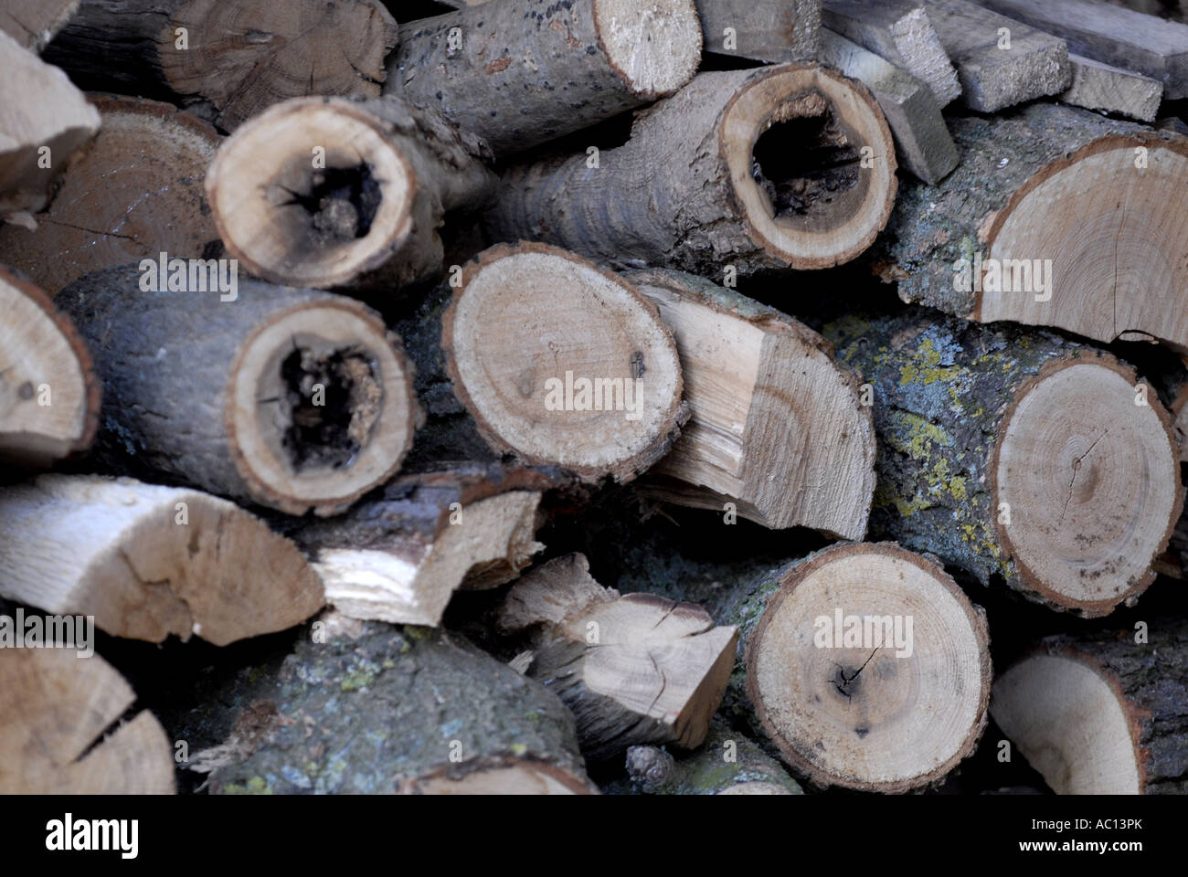 Logs, in store for a domestic fire Stock Photo - Alamy