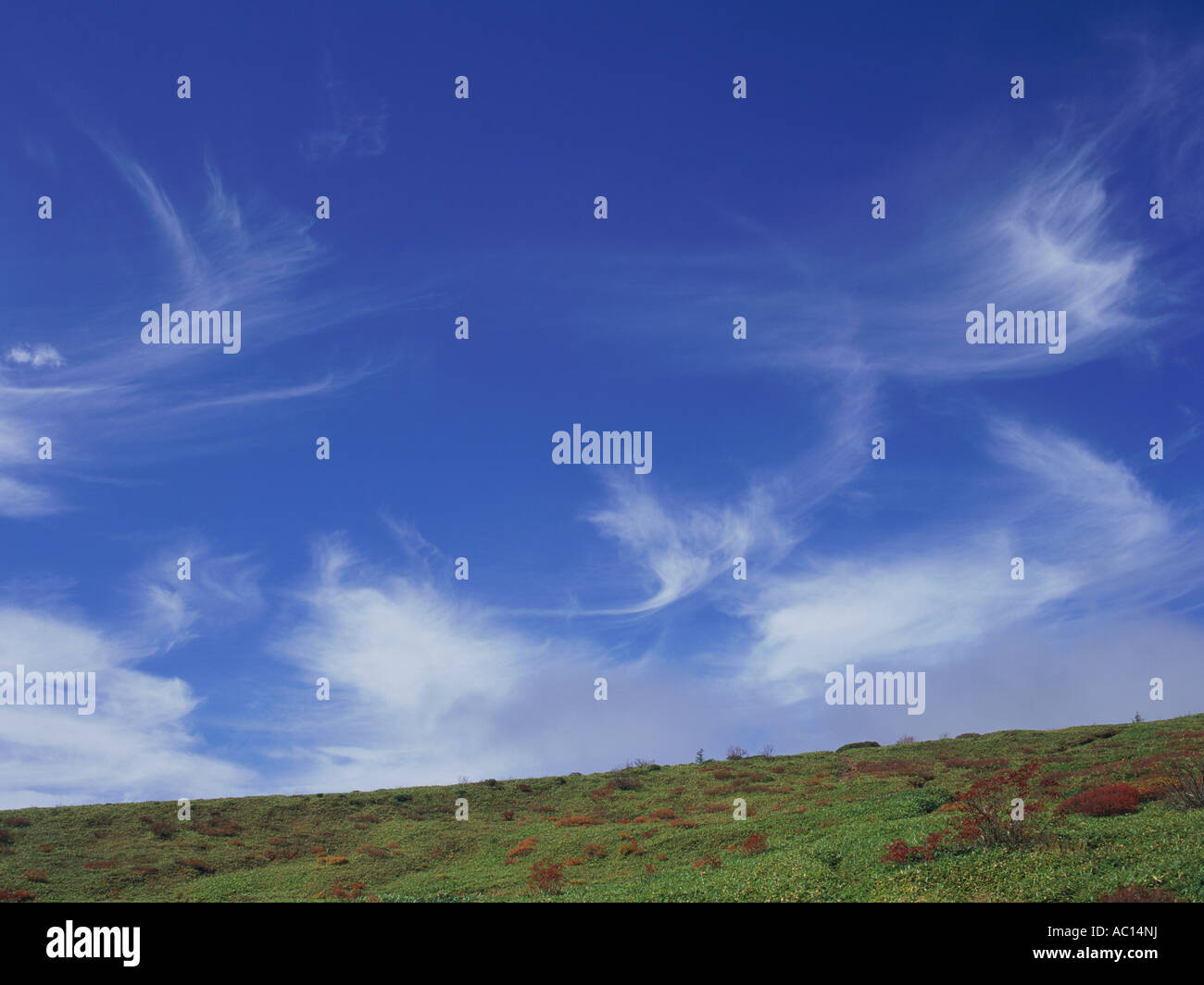 Shiga Plateau Nagano Prefecture Japan Stock Photo - Alamy