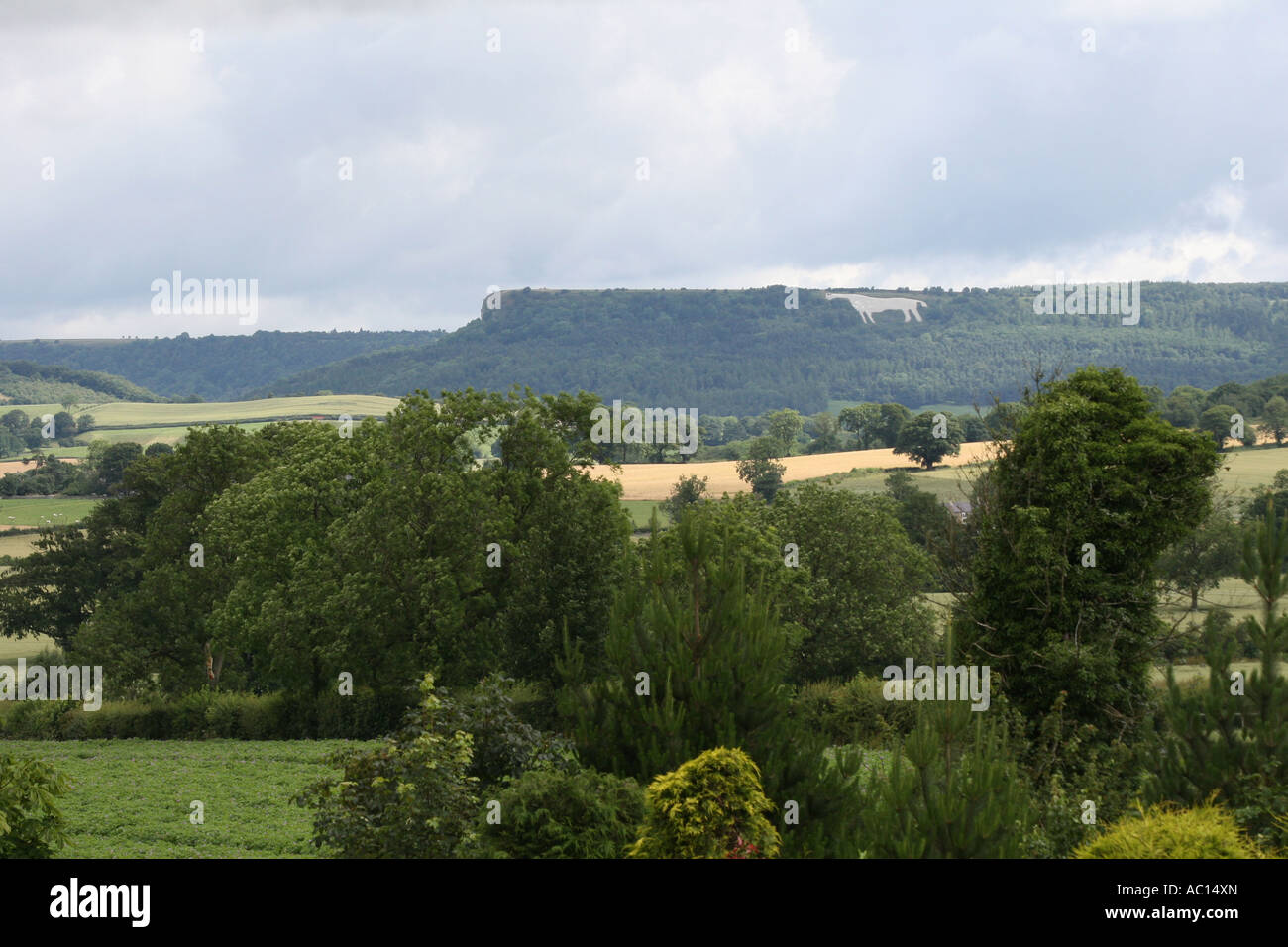 White Horse Coxwold North Yorkshire Stock Photo - Alamy