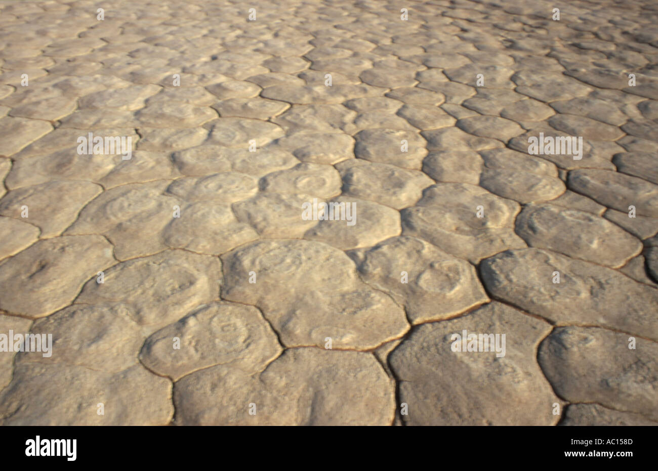 Desert ground Namib Desert Namibia Stock Photo - Alamy