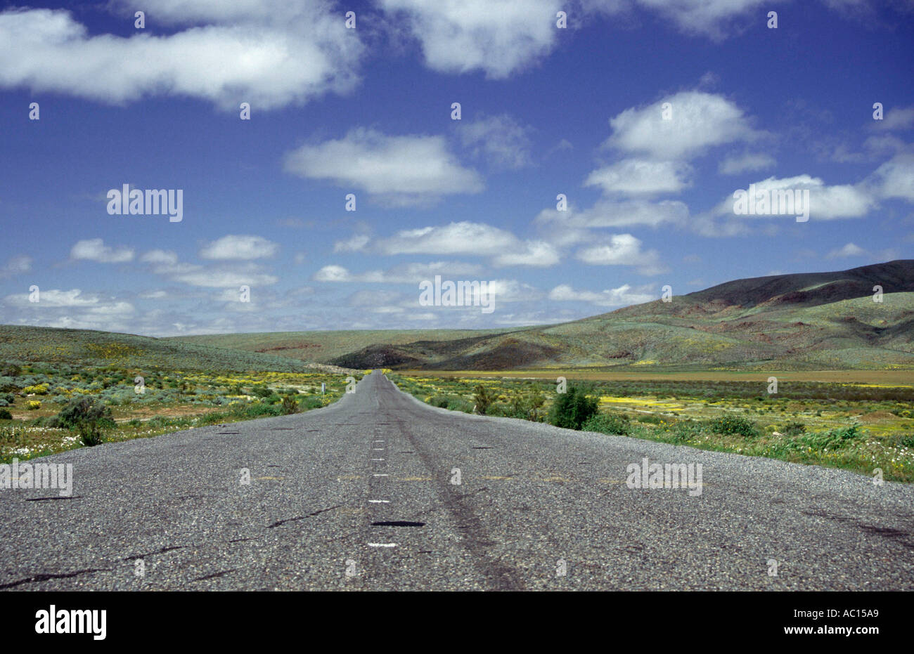 Highway 1 california mexico hi-res stock photography and images - Alamy