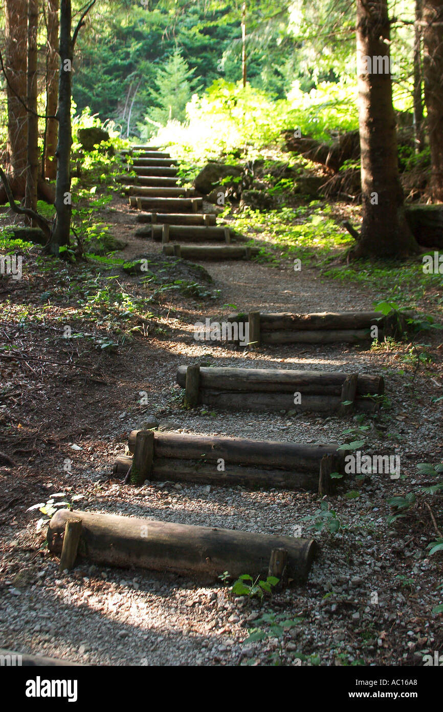 Stairs on a shady mountain track Stock Photo - Alamy