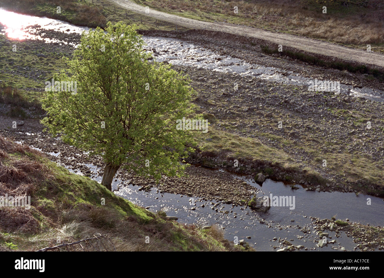 Langden brook hi-res stock photography and images - Alamy