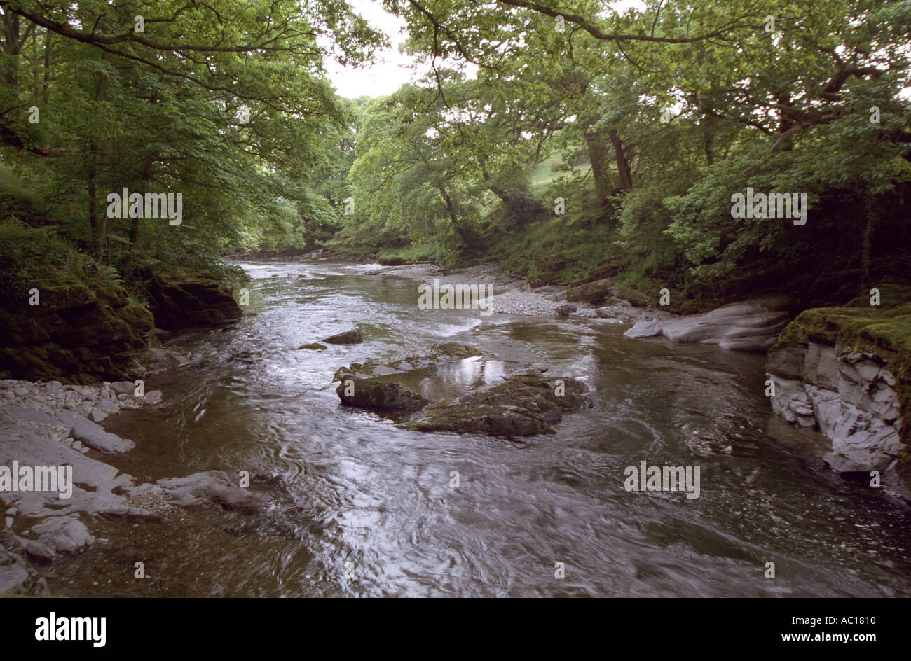 Rock Pool in River Lune showing tree lined banks Stock Photo - Alamy
