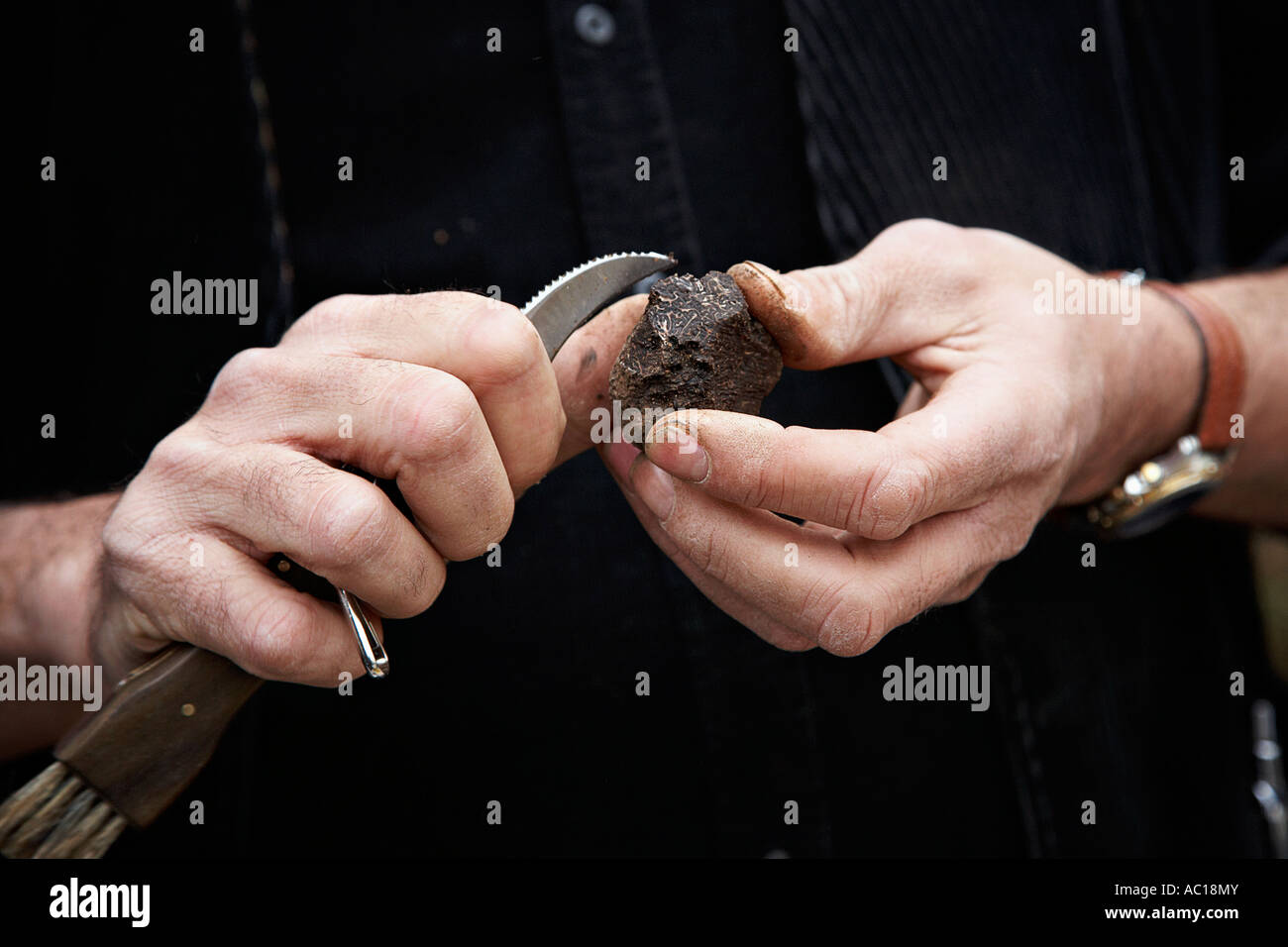 Cleaning truffles at Truffle Festival, Uzes, France Stock Photo - Alamy