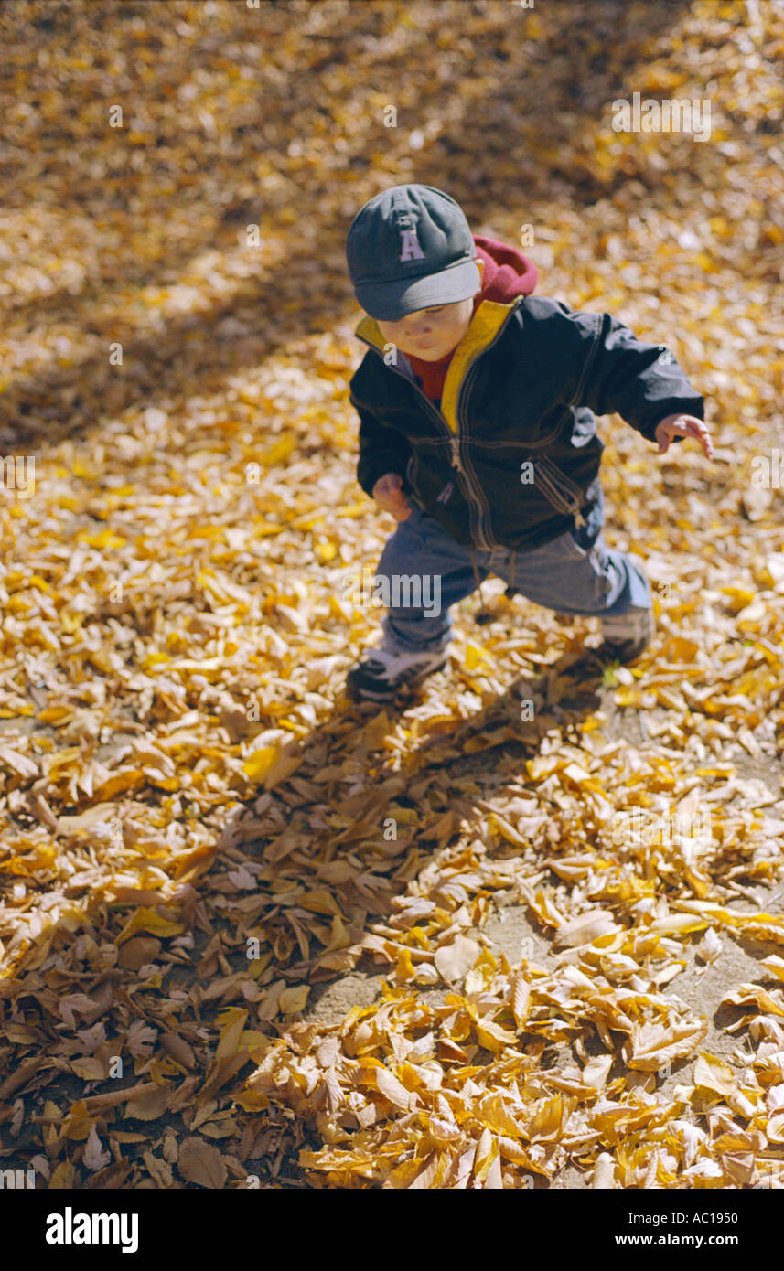 Young Boy Running on Fall Leaves Stock Photo - Alamy