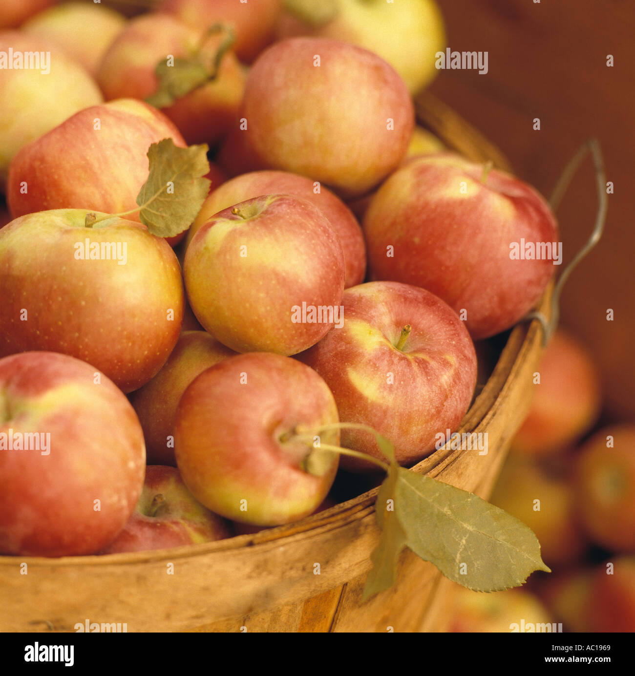 Bushel hi-res stock photography and images - Alamy