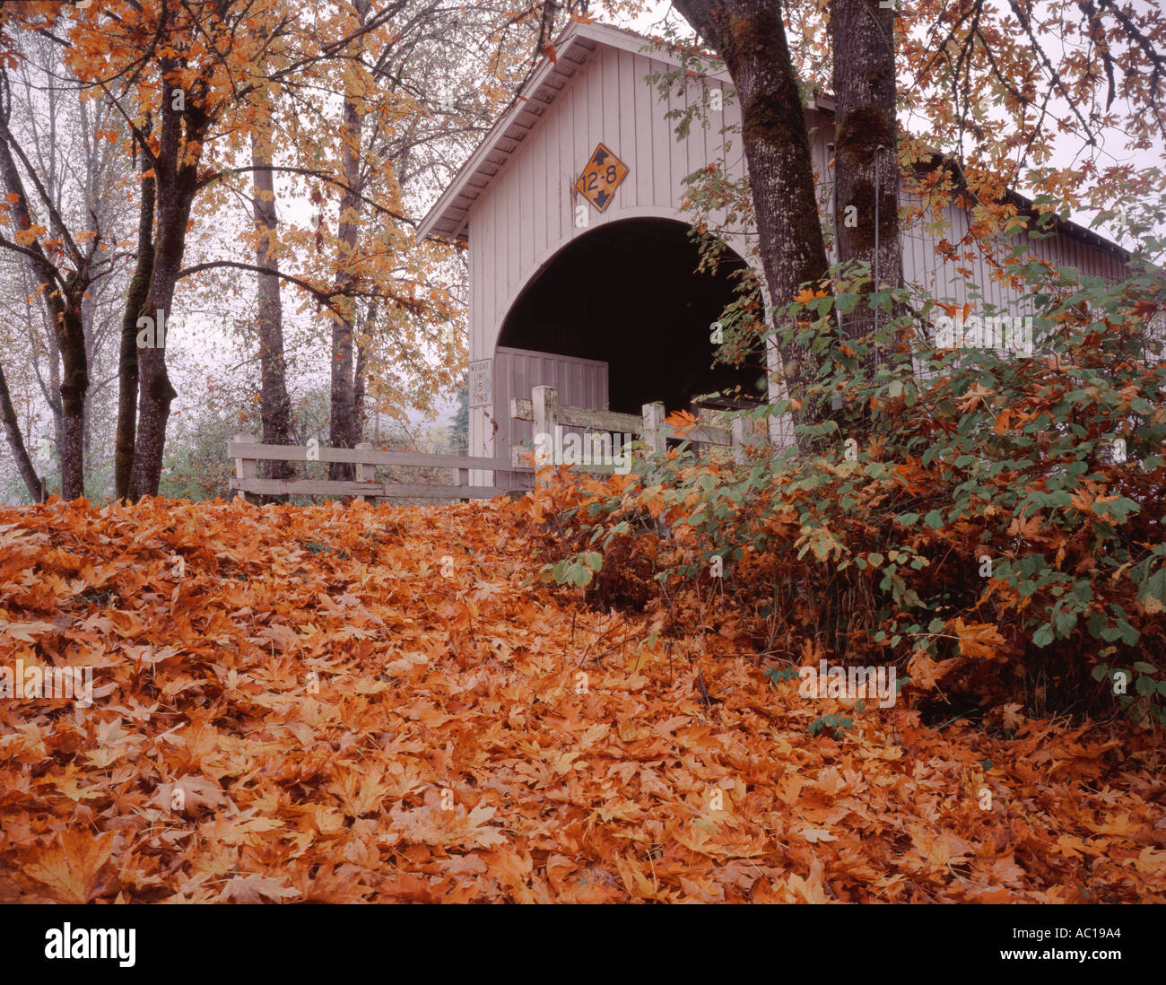 South myrtle creek hi-res stock photography and images - Alamy