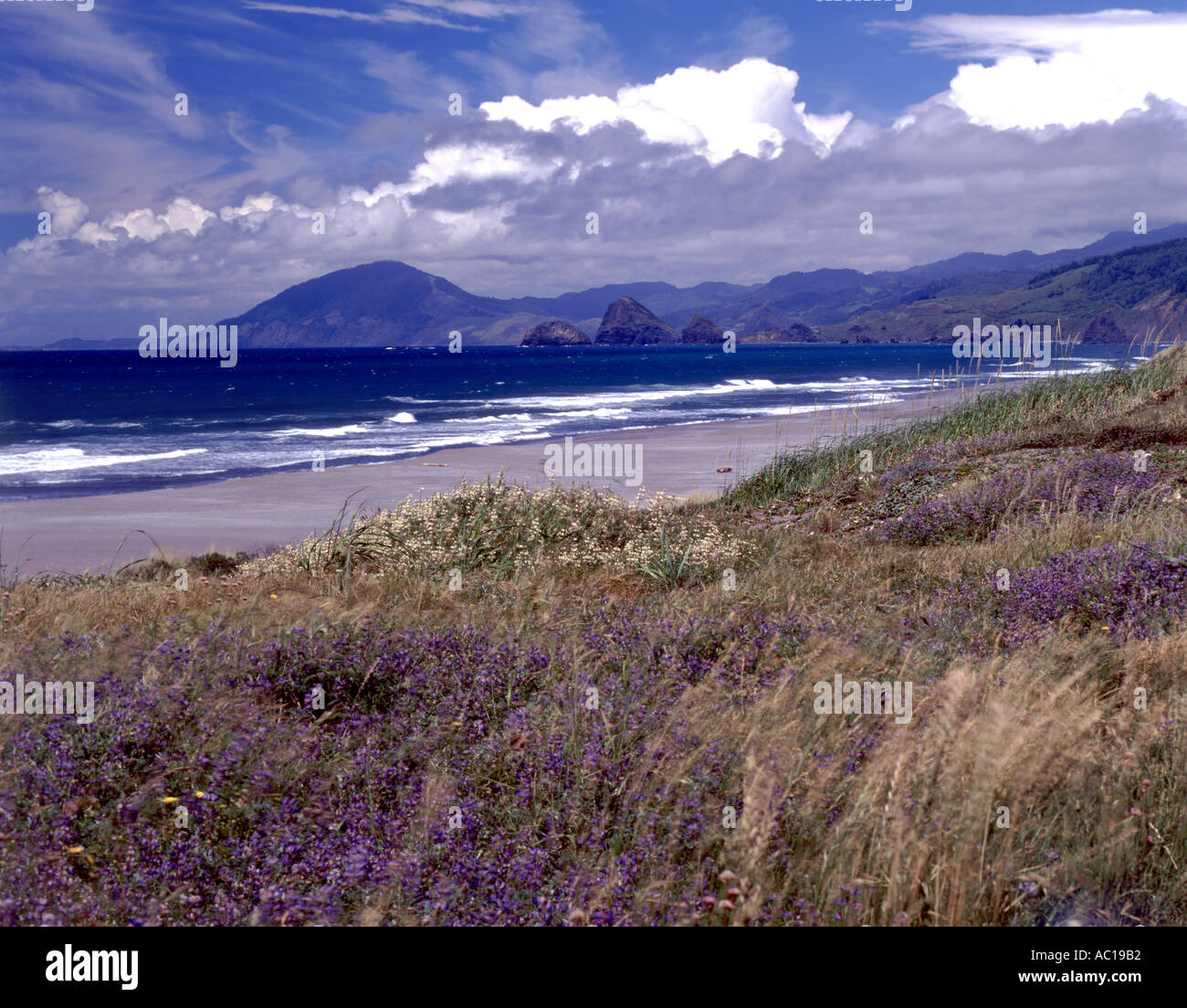 Humbug mountain oregon hi-res stock photography and images - Alamy