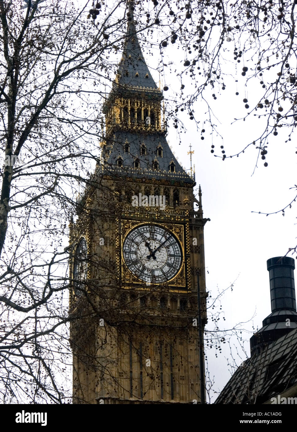 Big ben framed by trees hi-res stock photography and images - Alamy