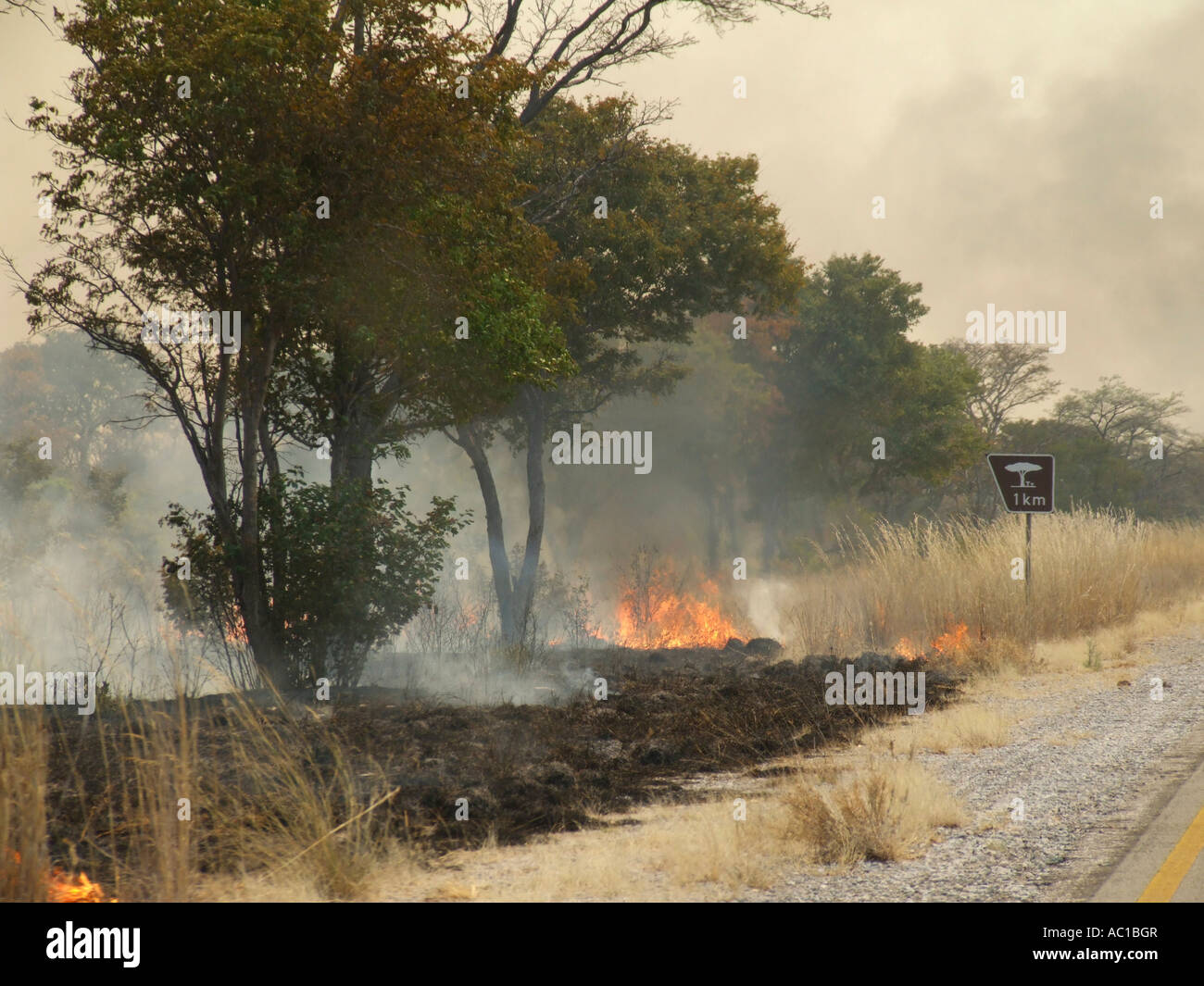 Buschfeuer land hi-res stock photography and images - Alamy