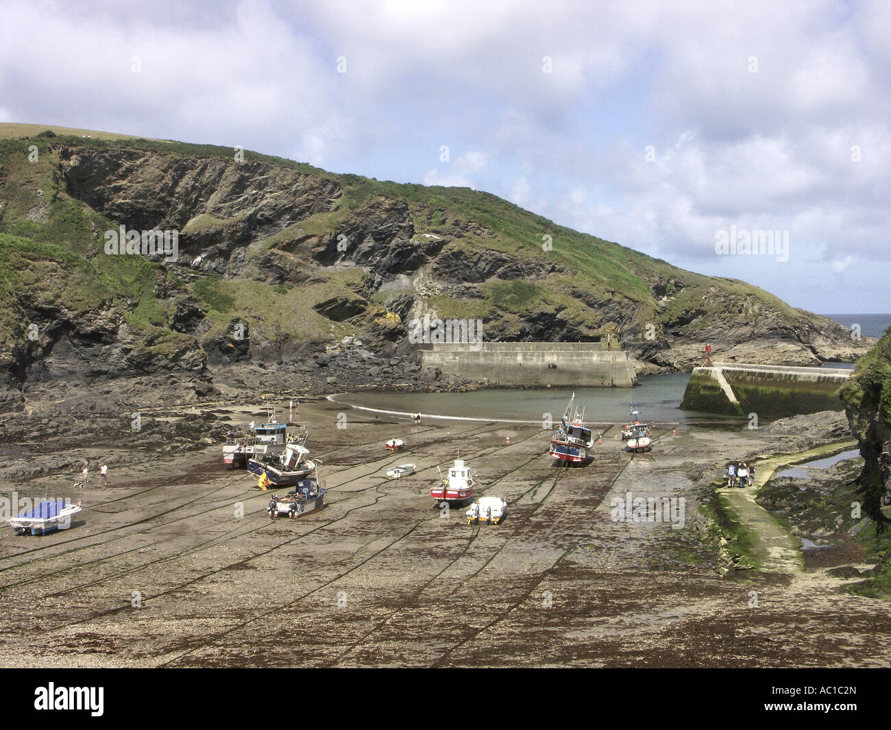 Low tide at Port Isaac harbour Stock Photo - Alamy