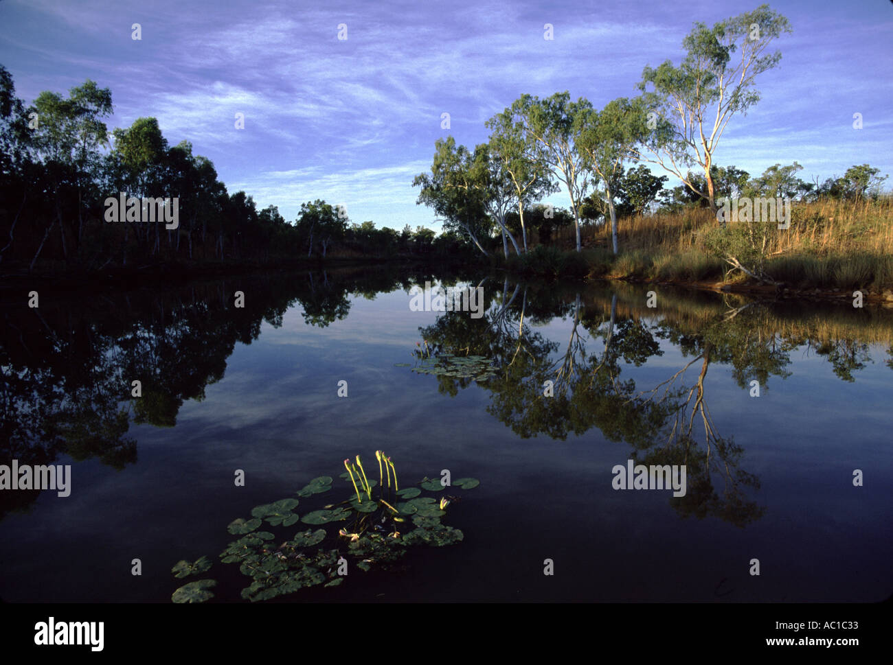 Outback creek Northern Territory Australia Stock Photo - Alamy