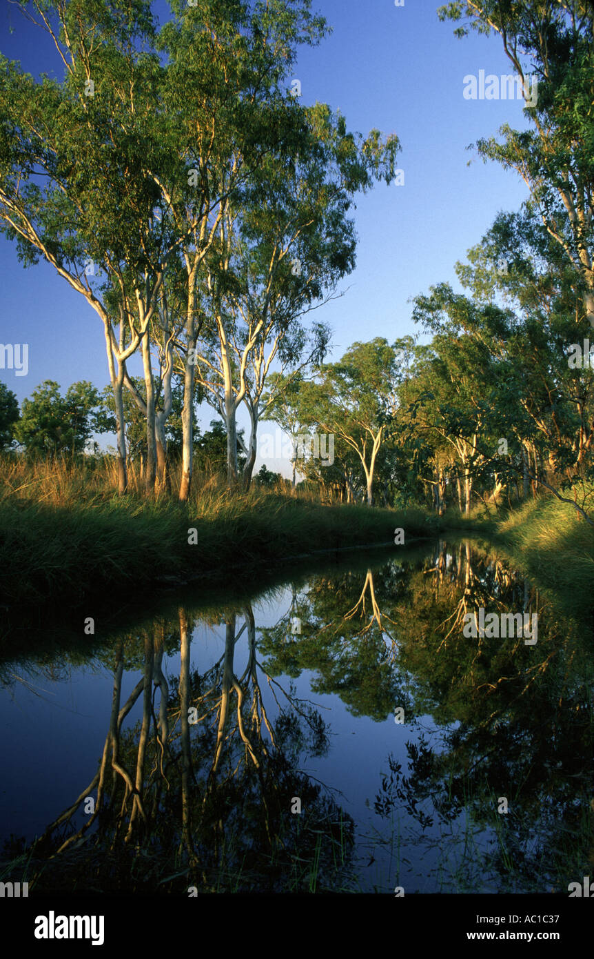 Outback creek Northern Territory Australia Stock Photo - Alamy
